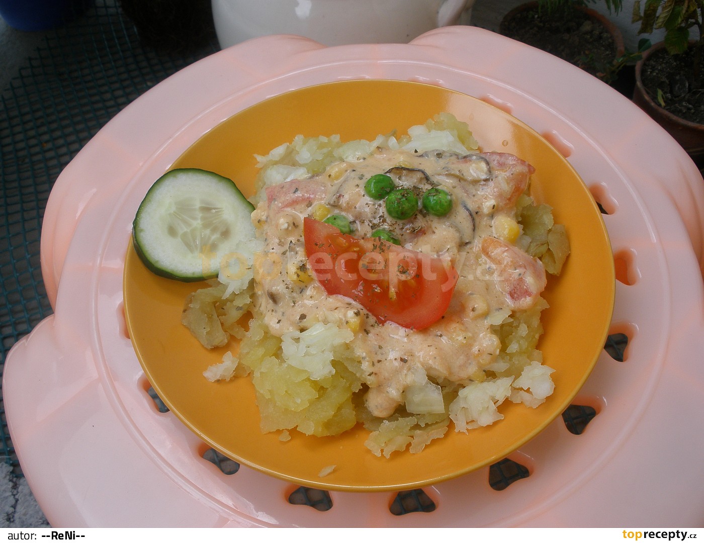 Oběd lehce a dietně recept - TopRecepty.cz