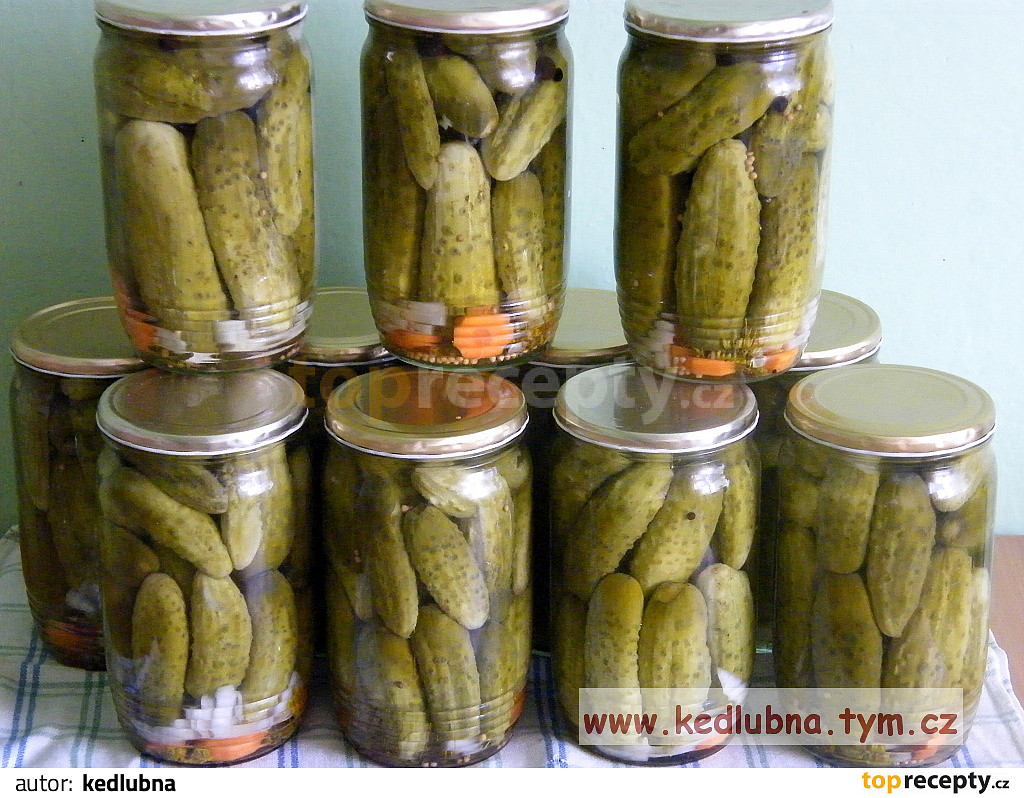 ZNOJEMSKÉ OKURKY recept - TopRecepty.cz