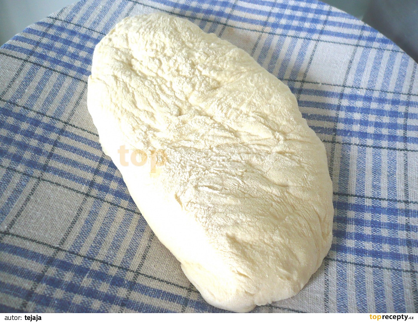 Kynutý knedlík - TopRecepty.cz