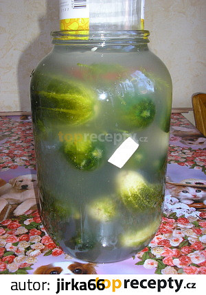 Kvašáky recept - TopRecepty.cz