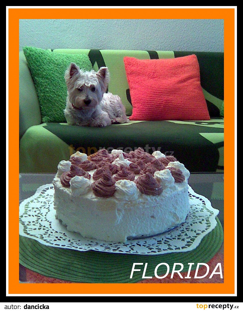 Dort Florida recept - TopRecepty.cz
