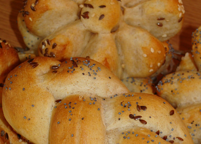 Housky - TopRecepty.cz