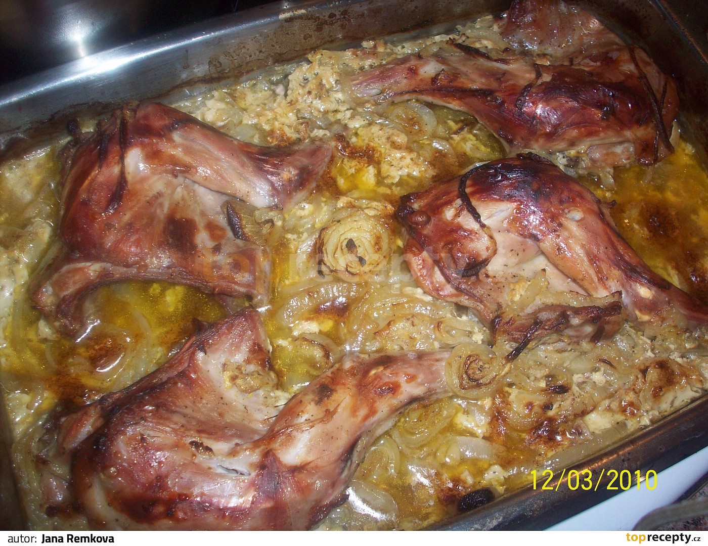 Králík nadivoko recept - TopRecepty.cz