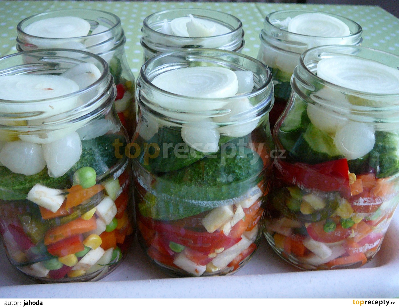 Moravanka "z Hané" - TopRecepty.cz