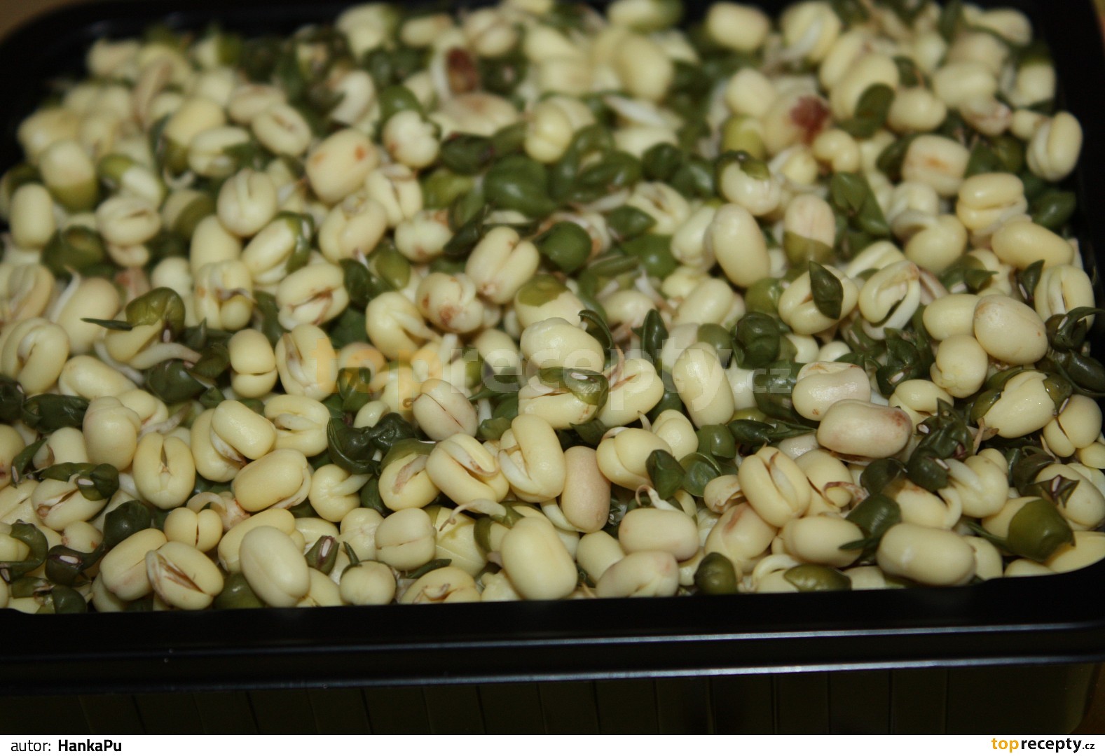 Mungo baby salát recept - TopRecepty.cz