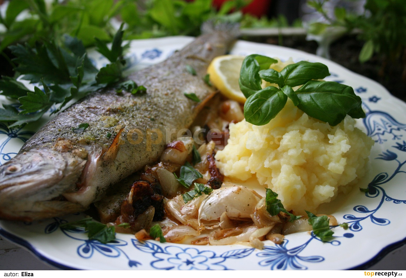 Pstruh na másle a na cibulce s bylinkovou solí recept - TopRecepty.cz
