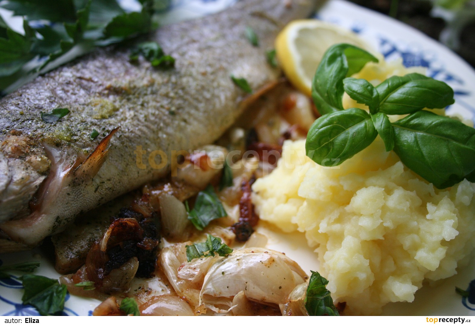 Pstruh na másle a na cibulce s bylinkovou solí recept - TopRecepty.cz