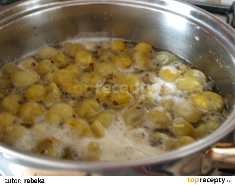 Zapečený angrešt - TopRecepty.cz