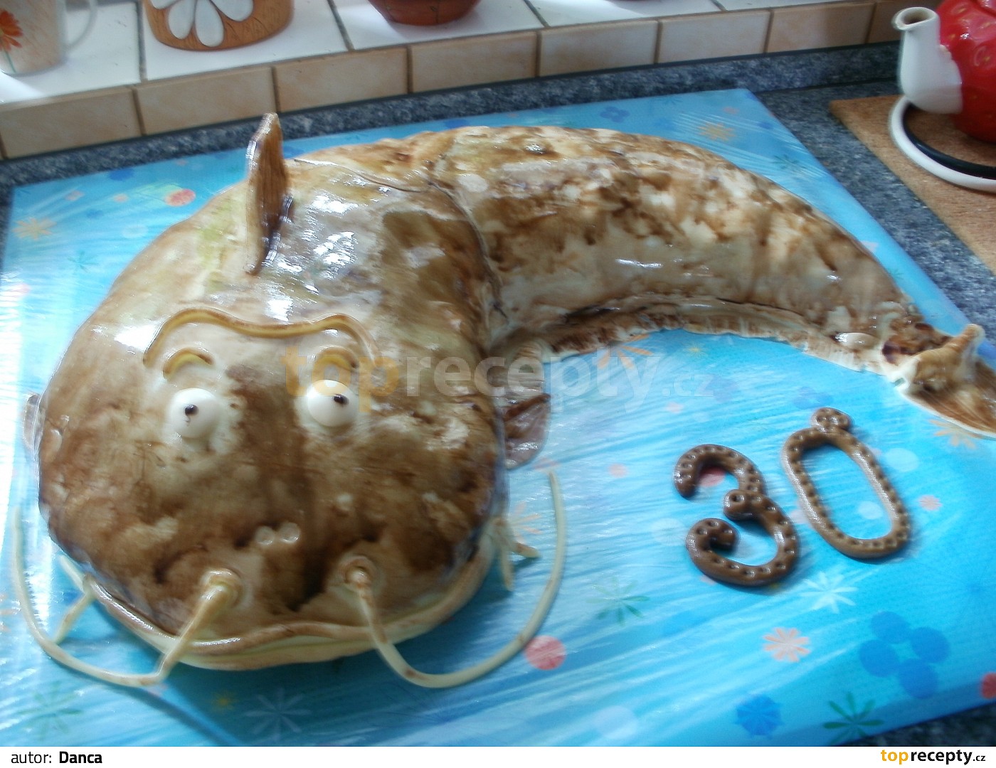 Sumec pro inspiraci recept - TopRecepty.cz