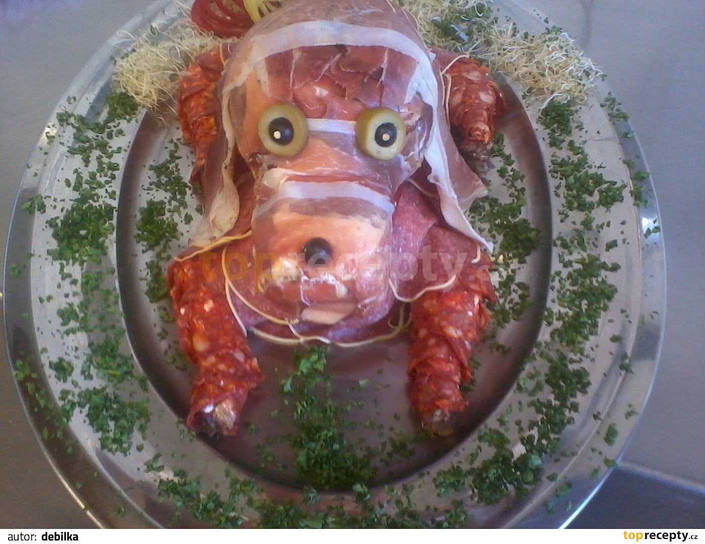 Pes recept - TopRecepty.cz