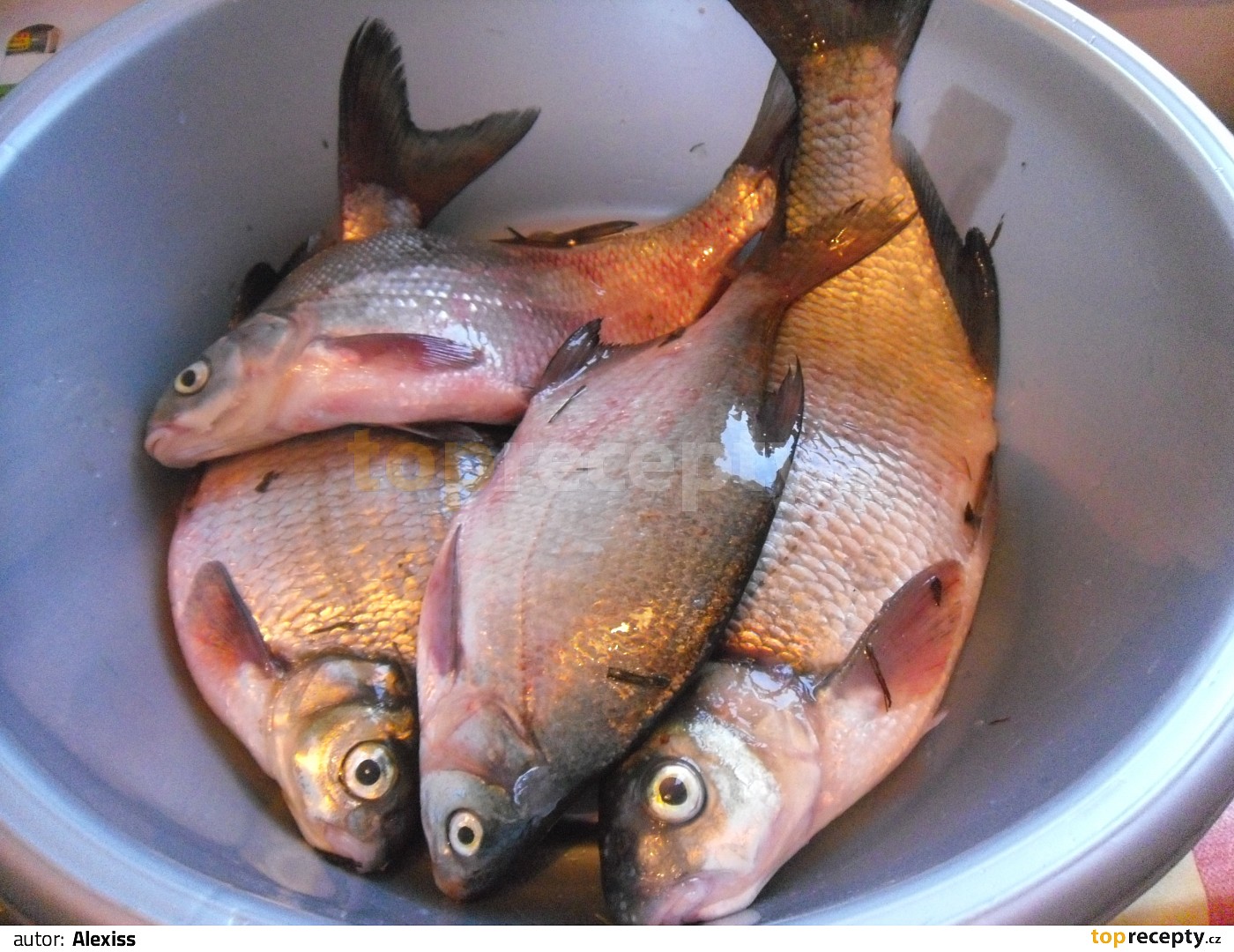 Zavináče od Labe recept - TopRecepty.cz