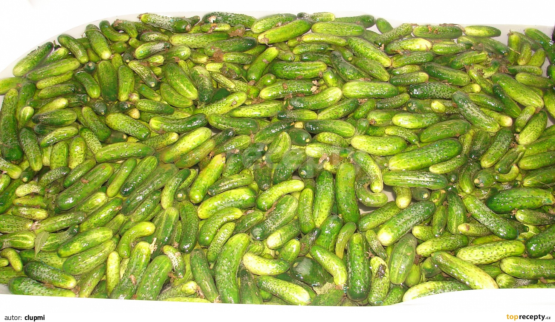 Sterilované okurky - sladkokyselé recept - TopRecepty.cz