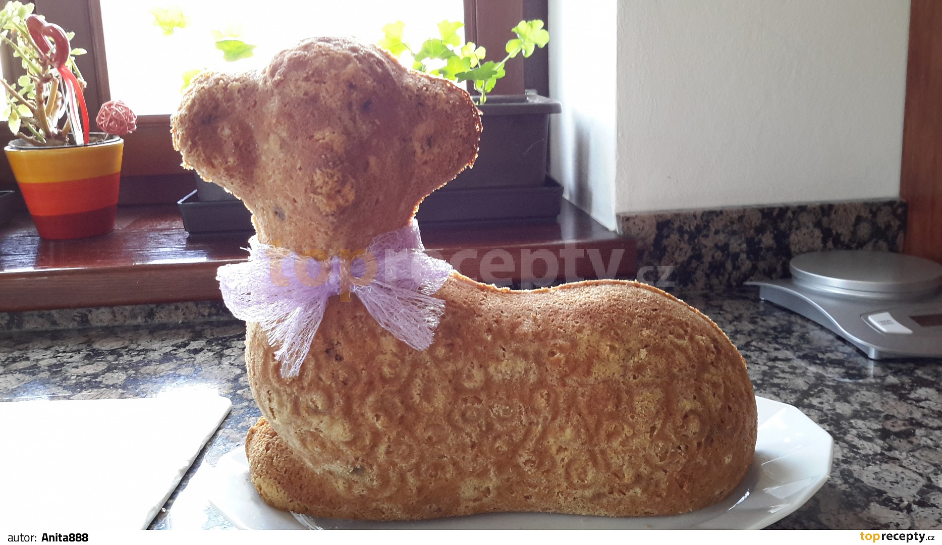 Beránek recept - TopRecepty.cz