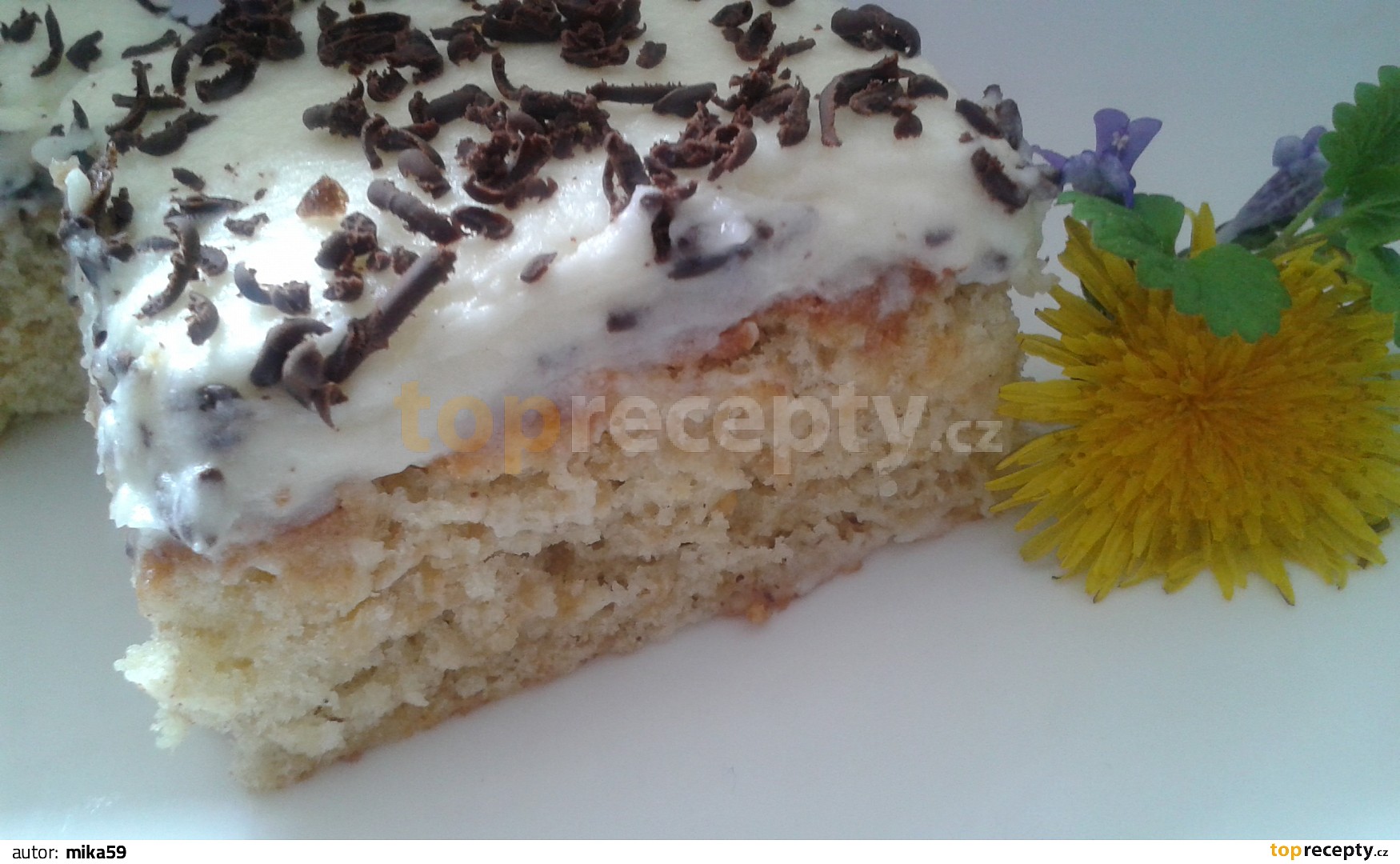 Rychlá buchta s jablky recept - TopRecepty.cz