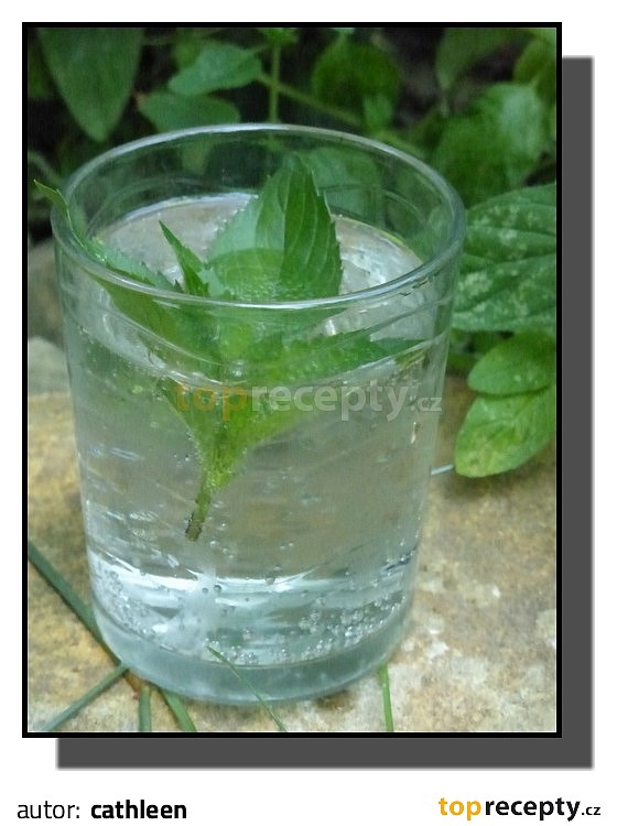 Bylinková sodovka recept - TopRecepty.cz