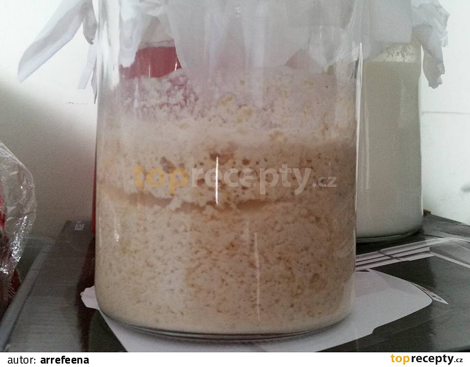 Kvásek z naklíčených zrn - TopRecepty.cz