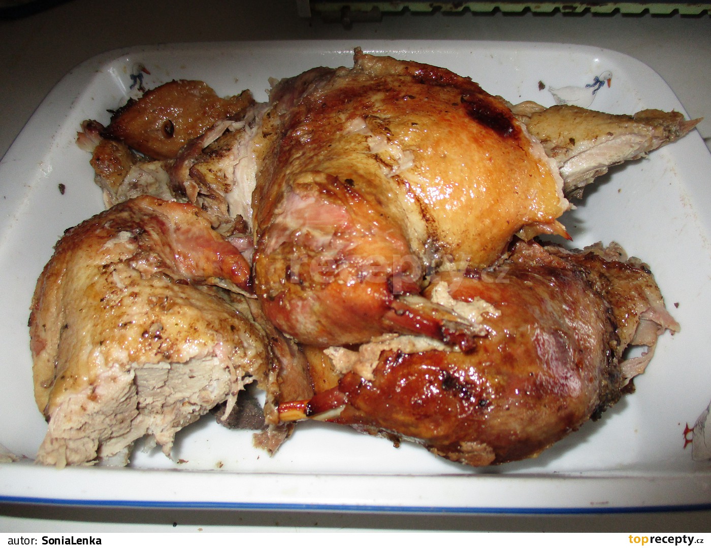 Pečená kachna s kedlubnovým zelím a bramborovými knedlíky recept ...