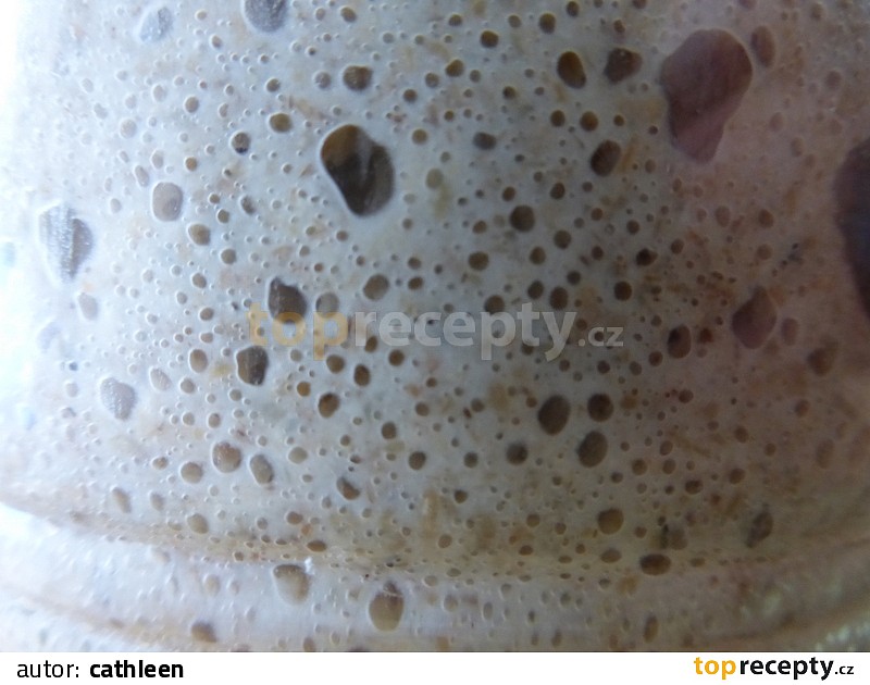 Kvásek z fermentované ovocné vody recept - TopRecepty.cz