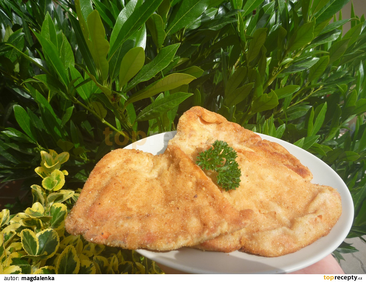 Sírovec v trojobalu recept - TopRecepty.cz
