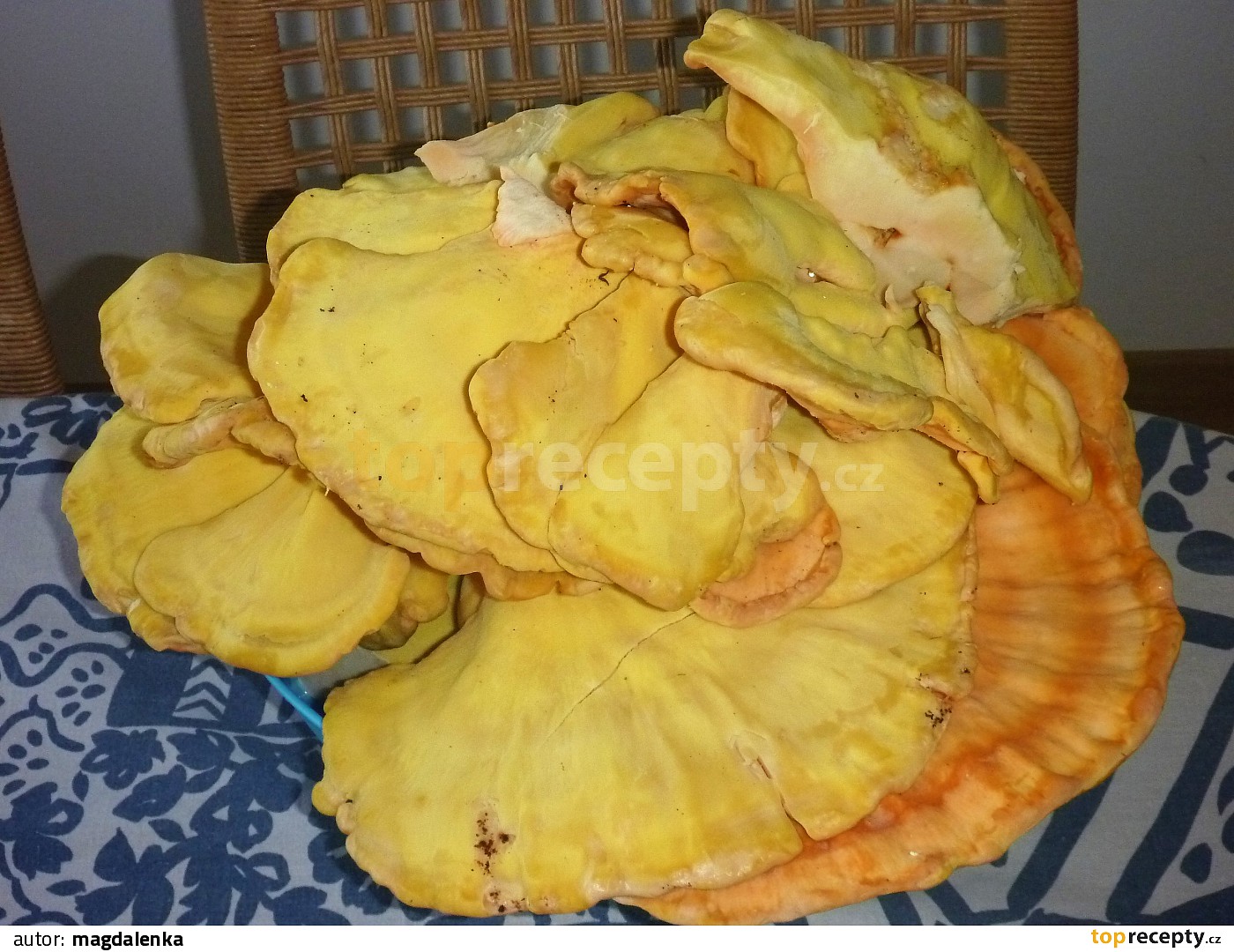 Sírovec v trojobalu recept - TopRecepty.cz