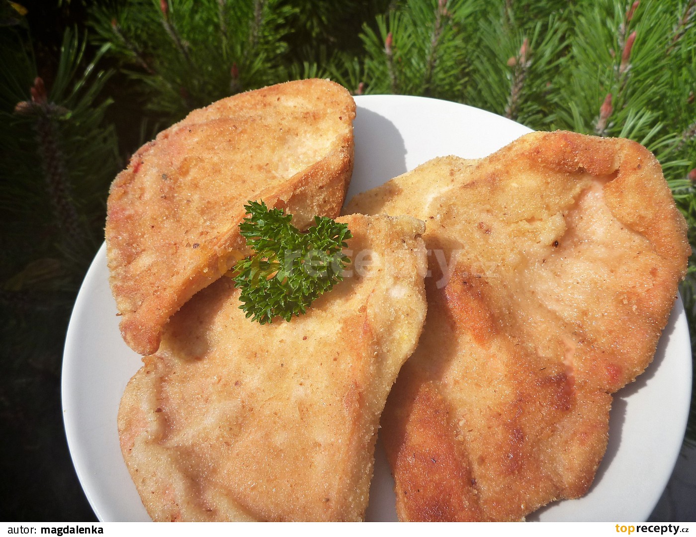 Sírovec v trojobalu recept - TopRecepty.cz