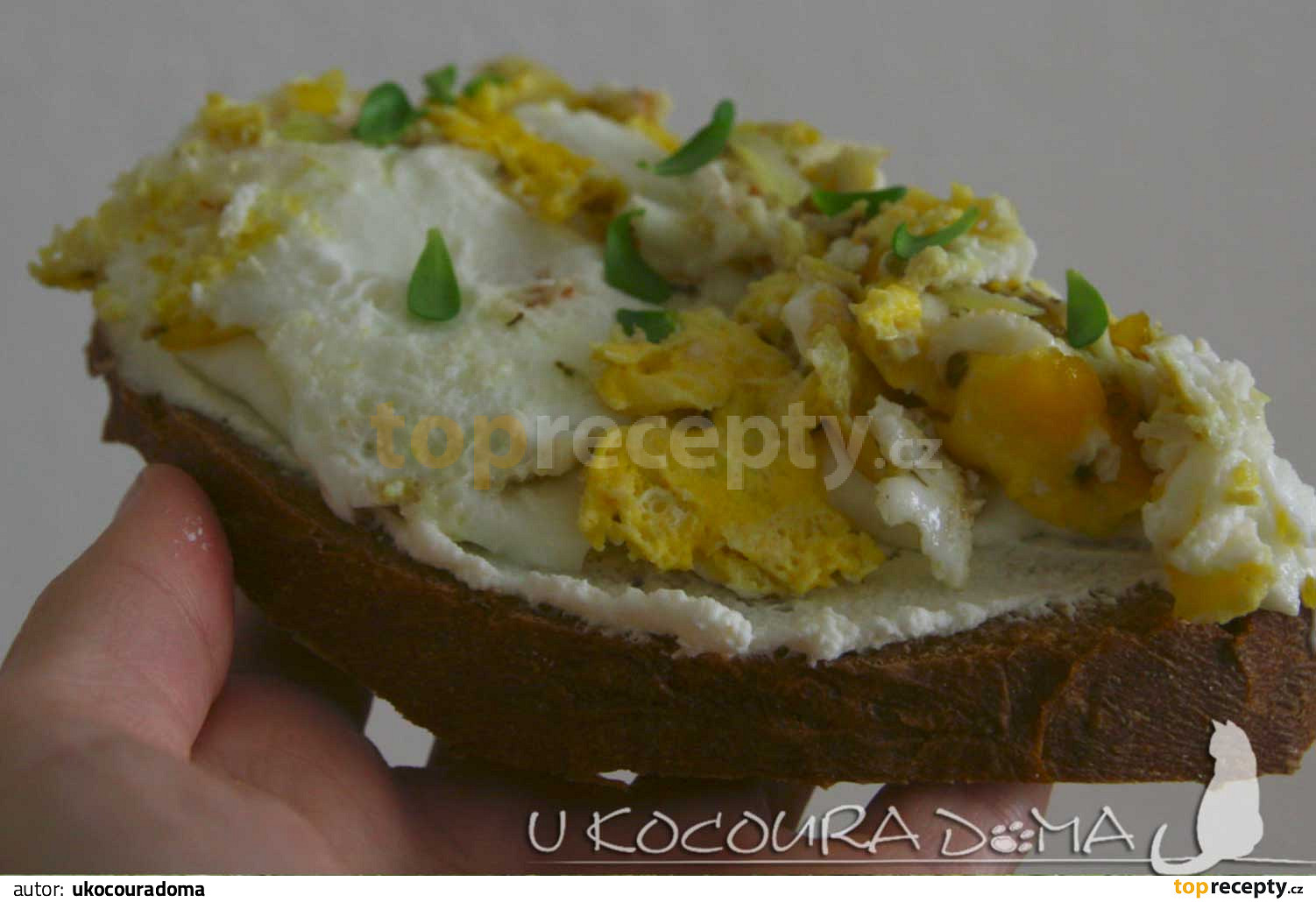 Jednoduchá svačina pro studenty recept - TopRecepty.cz