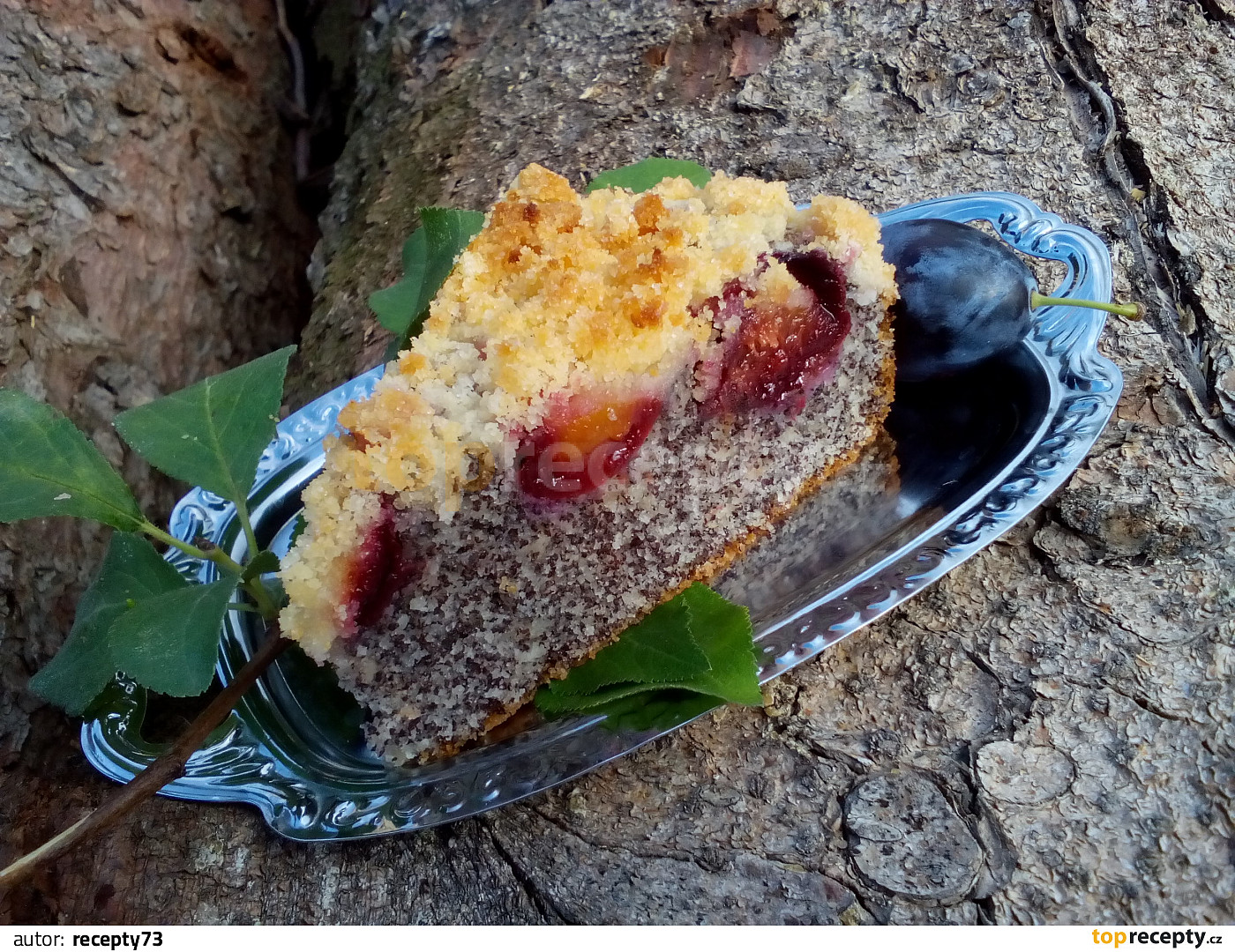 Makovník se švestkami a drobenkou recept - TopRecepty.cz