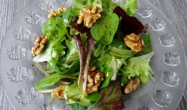 Saláty - TopRecepty.cz