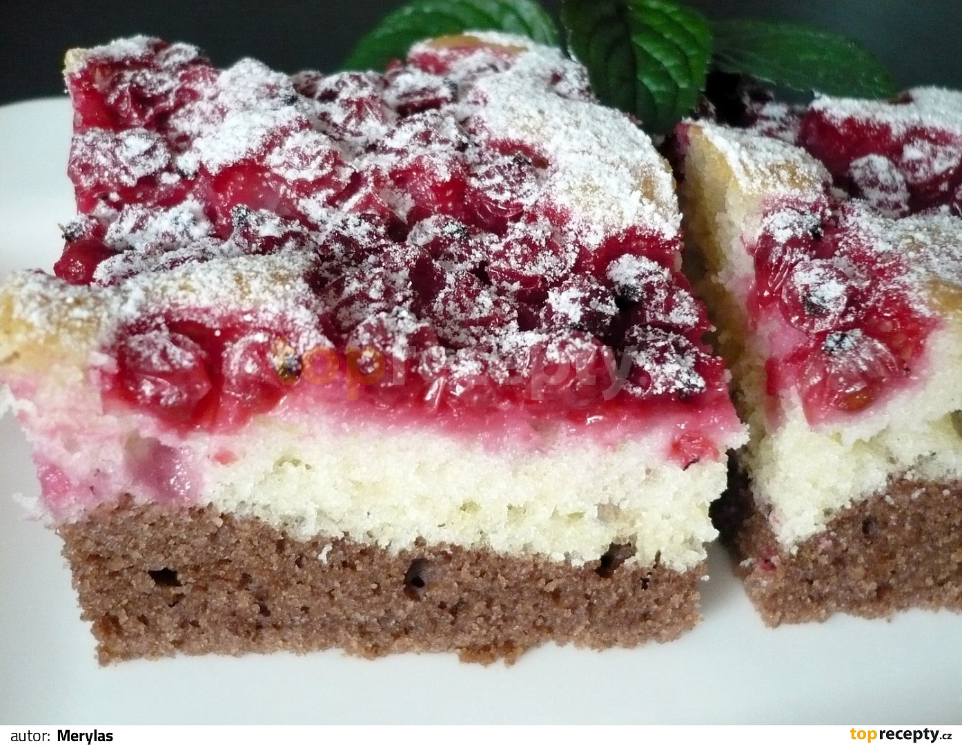 Rychlá dvoubarevná buchta s rybízem recept - TopRecepty.cz
