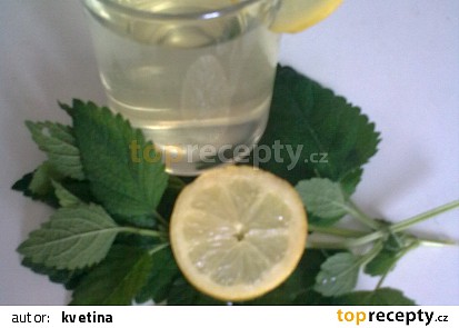 Meduňkový sirup recept - TopRecepty.cz